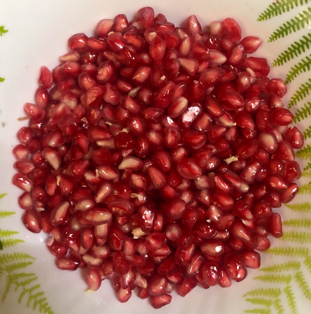Pomegranate – Sapling to Harvest – Chennaivaasi